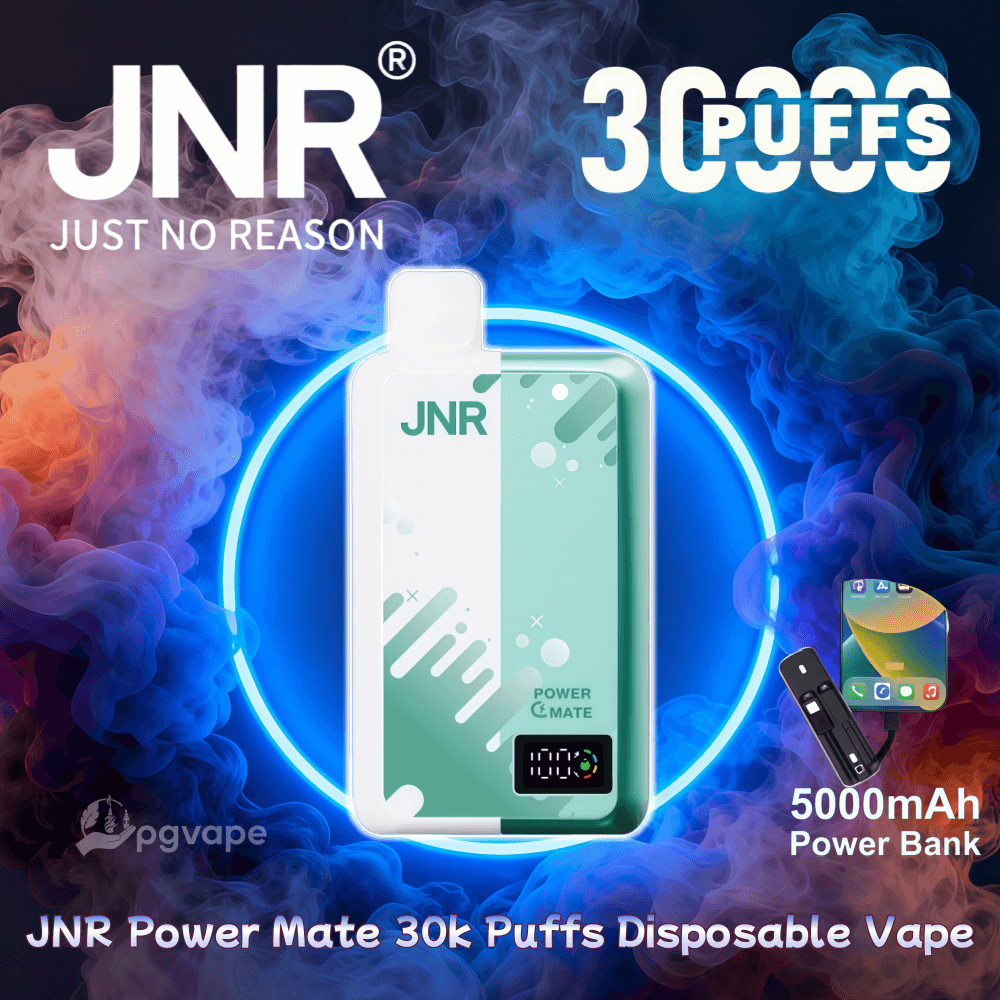 JNR Power Mate 30000 30k Puffs Disposable Vape 5000mAh Power Bank Vape ...